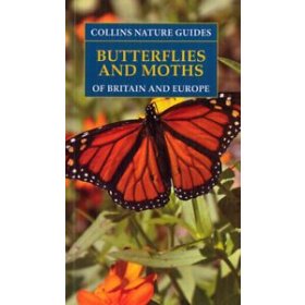 Collins Nature Guides Butterflies+Moths – Bittern Books
